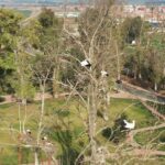 Province de Berkane - Berkane We Can